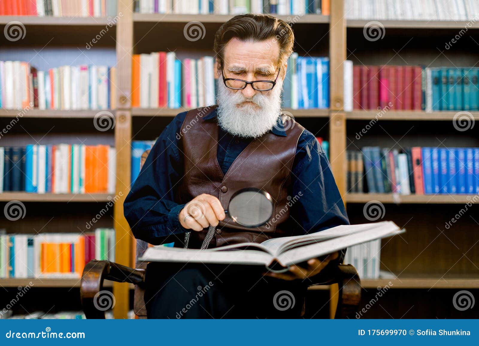Senior Bearded Man In Glasses Academic Professor Or Teacher Sitting