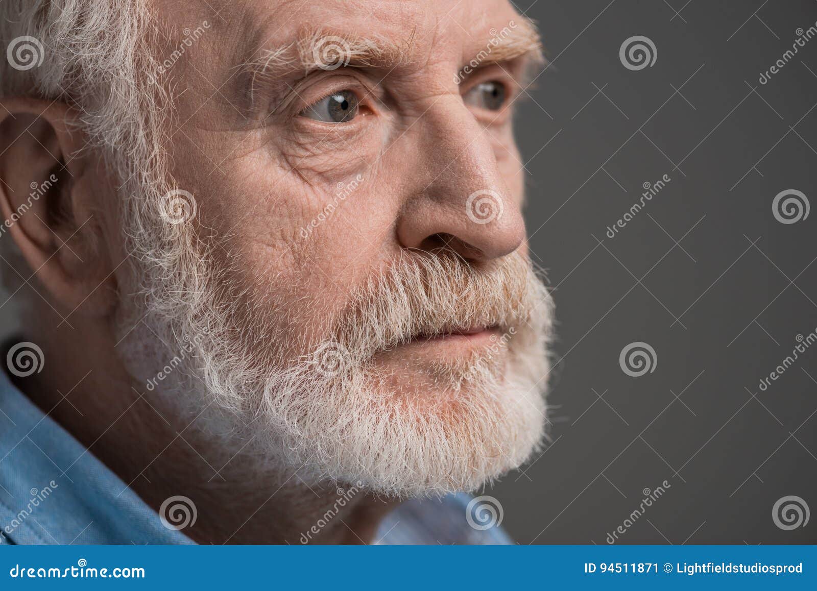 Senior Bearded Man Isolated on Grey in Studio Stock Image - Image of ...