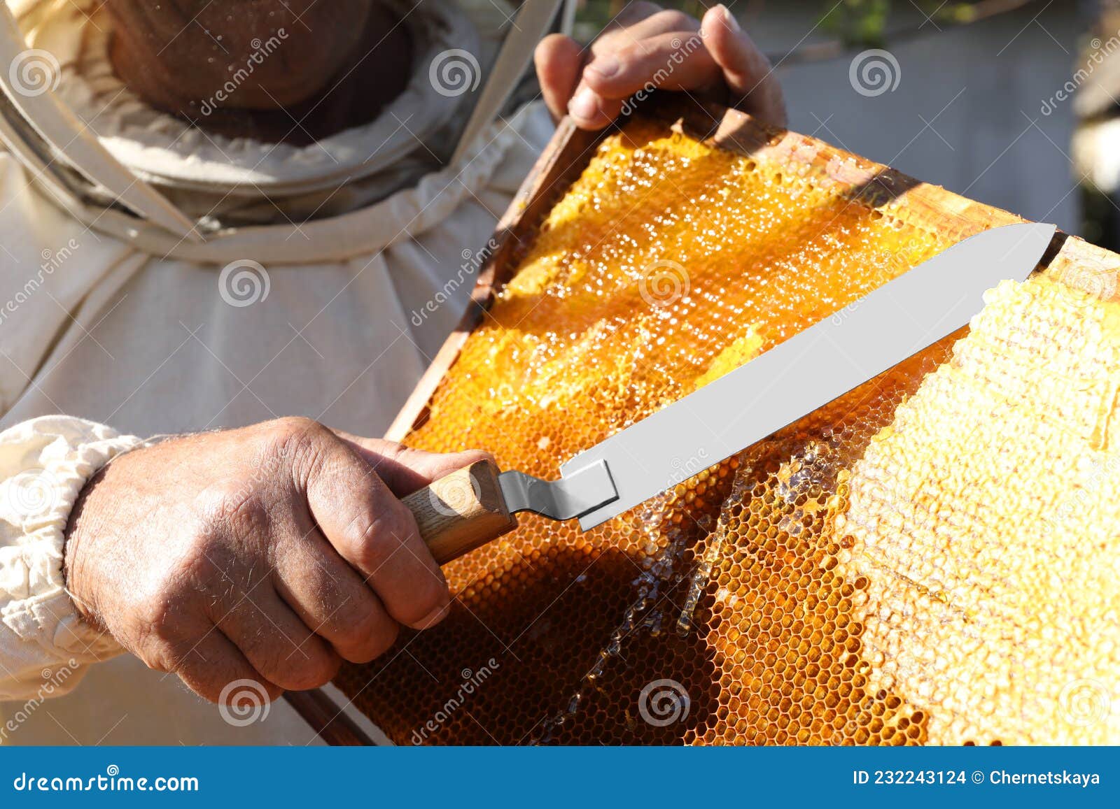 Beekeeper Uncapping Honeycomb With Special Beekeeping Fork. Raw Honey ...