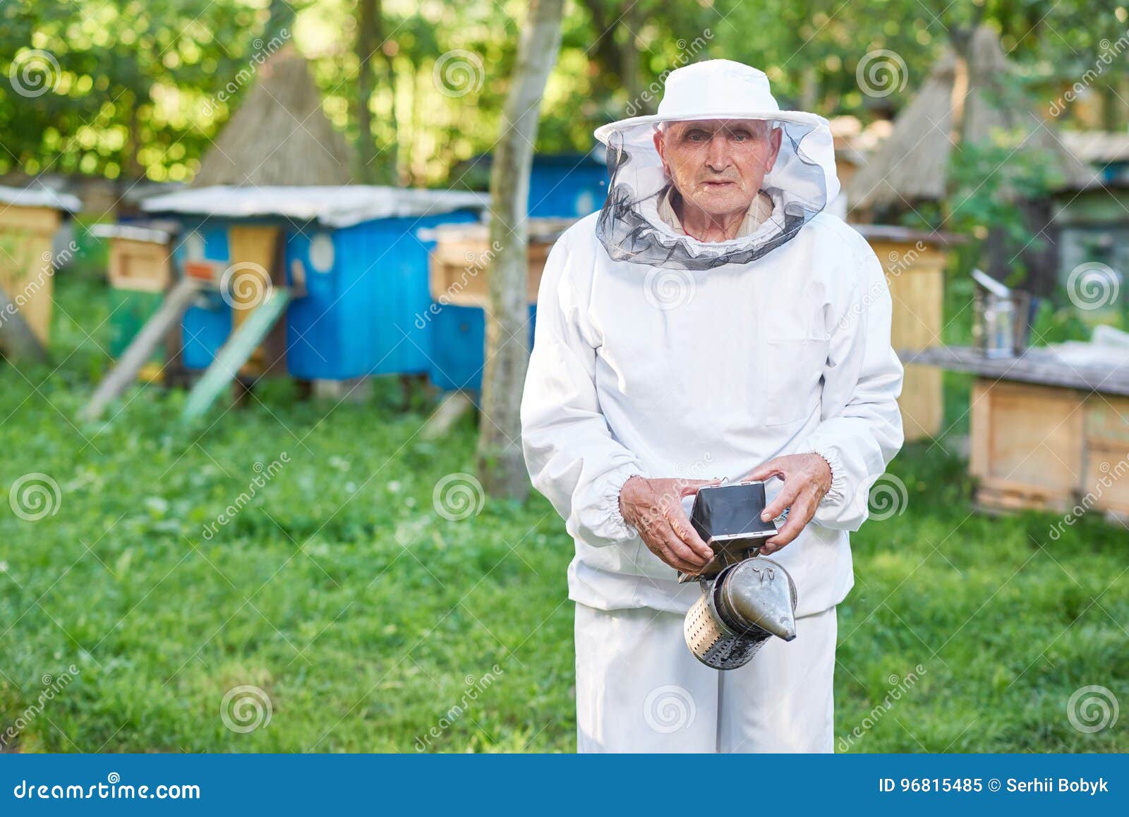 Senior Beekeeper Working at His Apiary Stock Image - Image of food ...