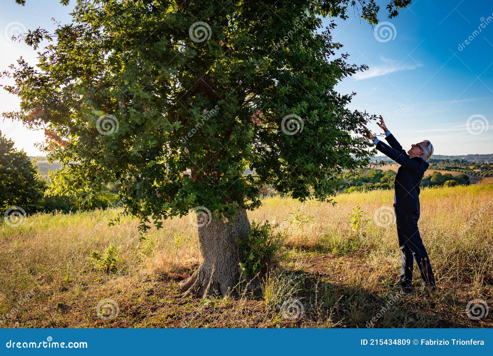 Senior Botanist Touching Leaves of the Magic Tree at Sunset #04 Stock ...