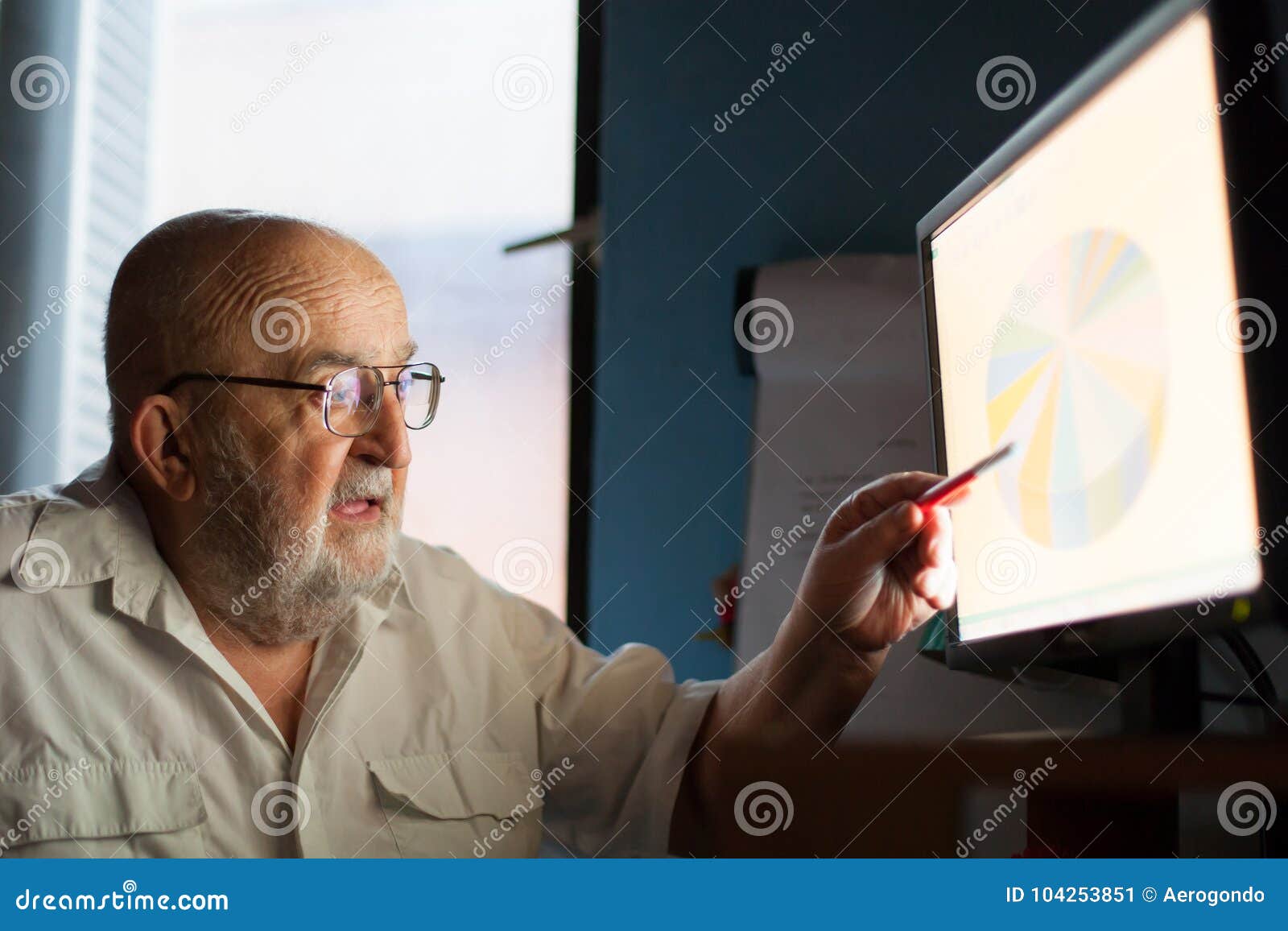 Business Expert Explaining a Chart on Computer Screen Stock Image ...