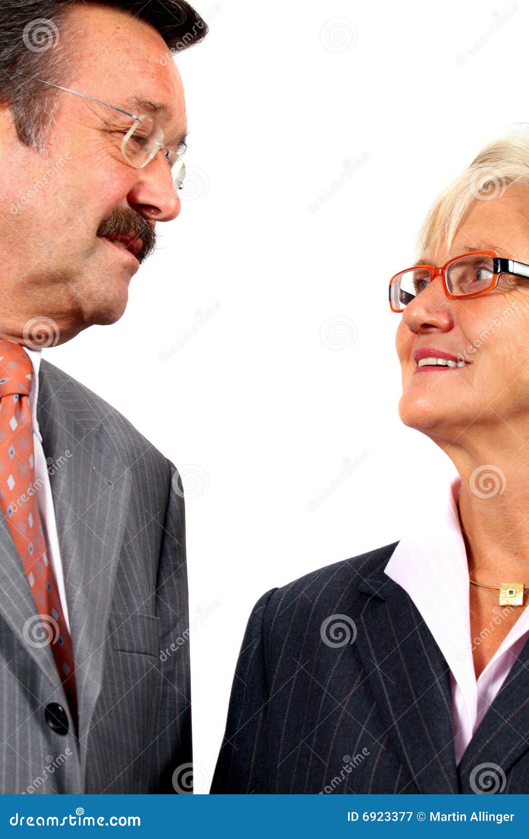 Senior Business Partners stock image. Image of couple - 6923377