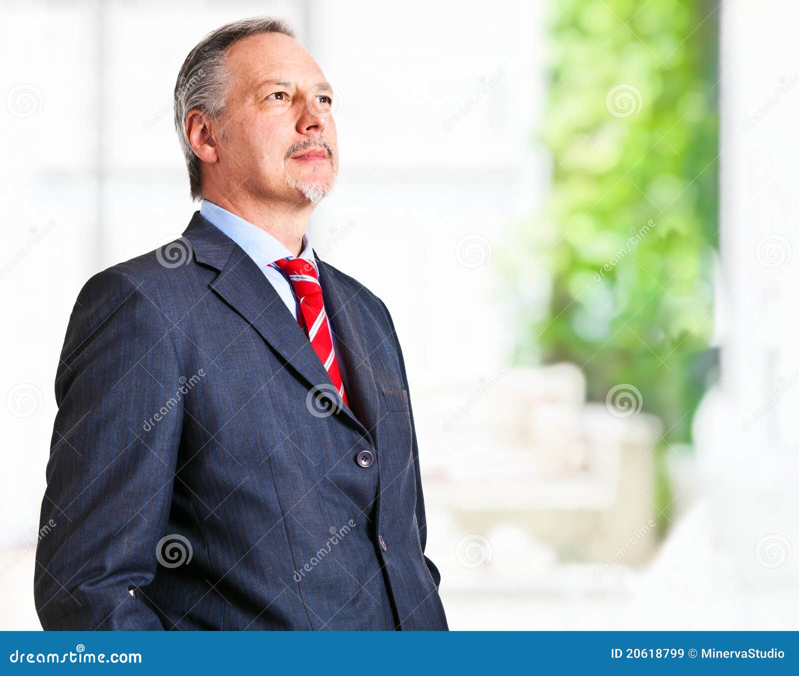 Senior Businessman Portrait Stock Image - Image of company, business ... Senior Businessman Portrait Stock Image - Image of company, business ...