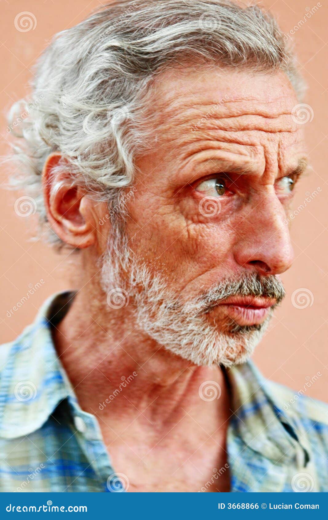 Senior citizen stock photo. Image of people, grey, senior - 3668866