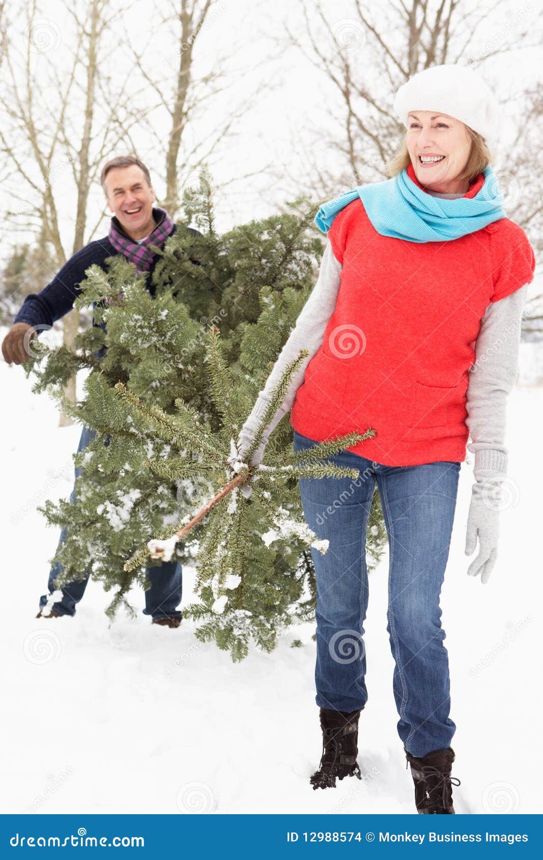 Senior Couple Carrying Christmas Tree in Snow Stock Photo - Image of ...