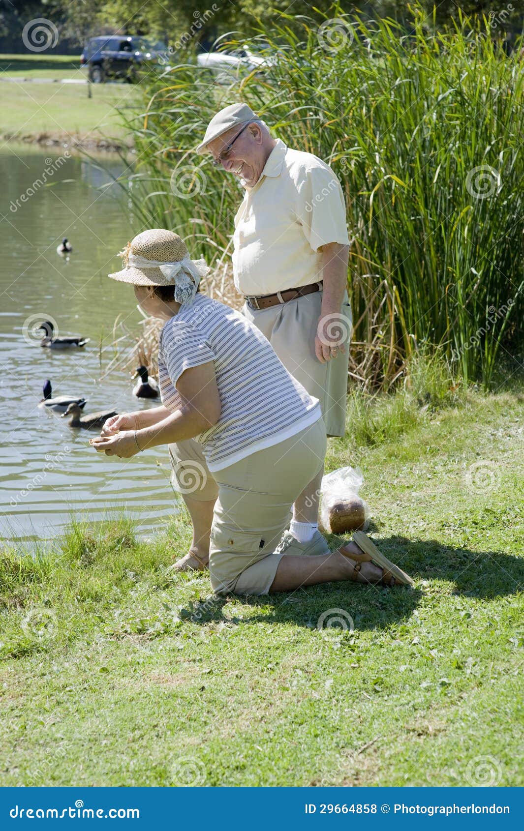 Senior Couple Feeding Ducks at Pond Stock Photo - Image of lawn, care ...