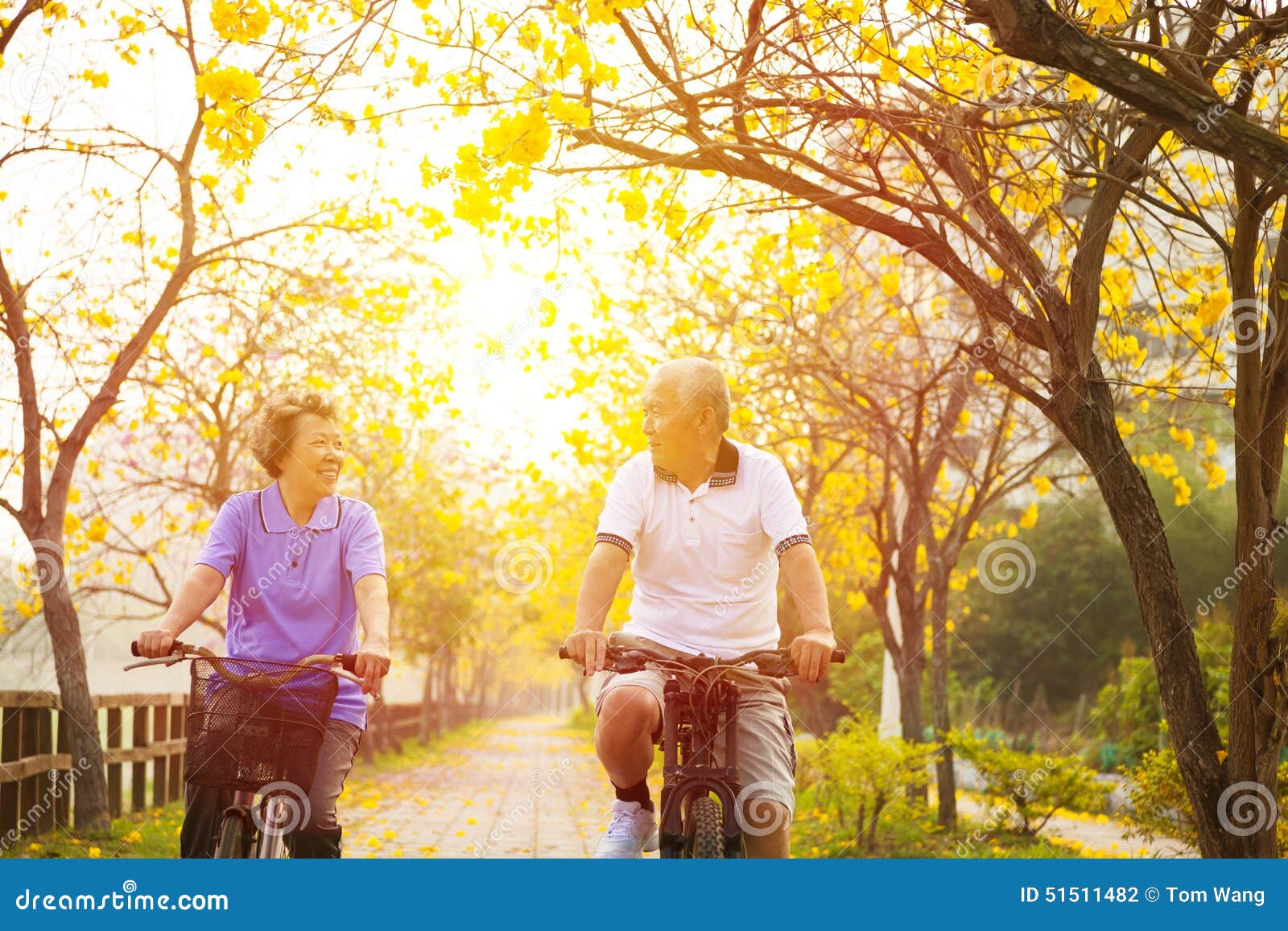 Senior Couple Ride on Bicycle in the Park Stock Photo - Image of ...