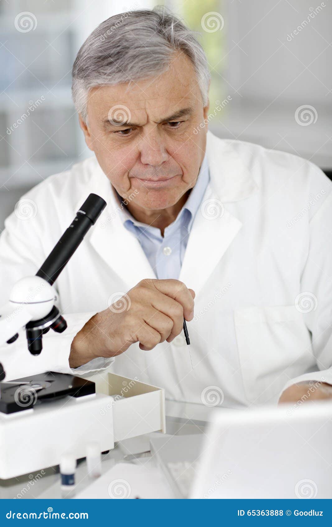 Senior Doctor Examining Samples in Laboratory Stock Photo - Image of ...