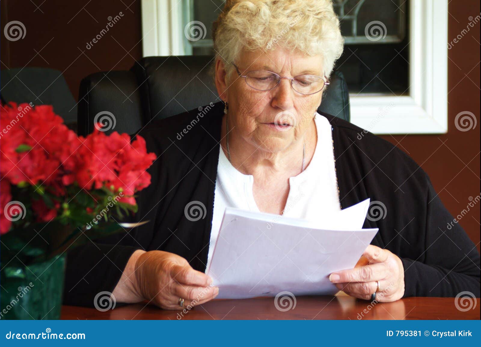 Senior executive stock image. Image of executive, older - 795381