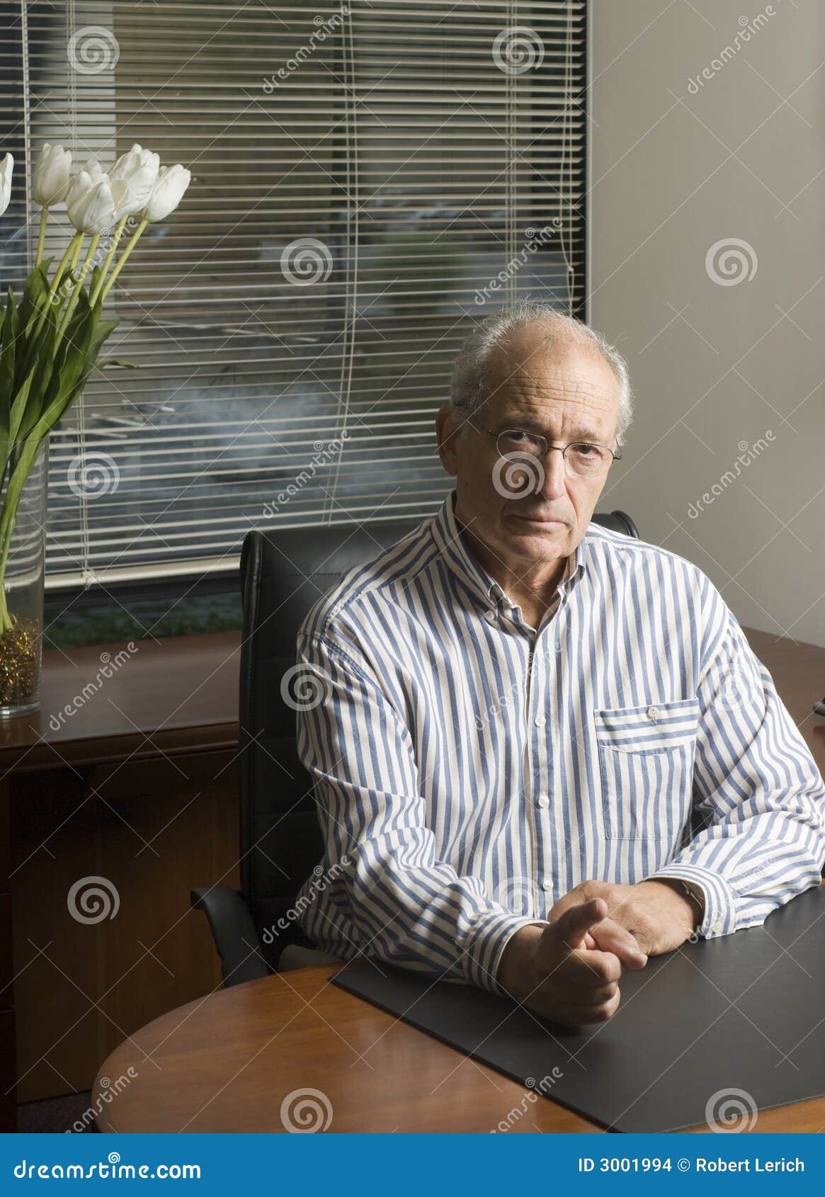 Senior executive in office stock photo. Image of older - 3001994