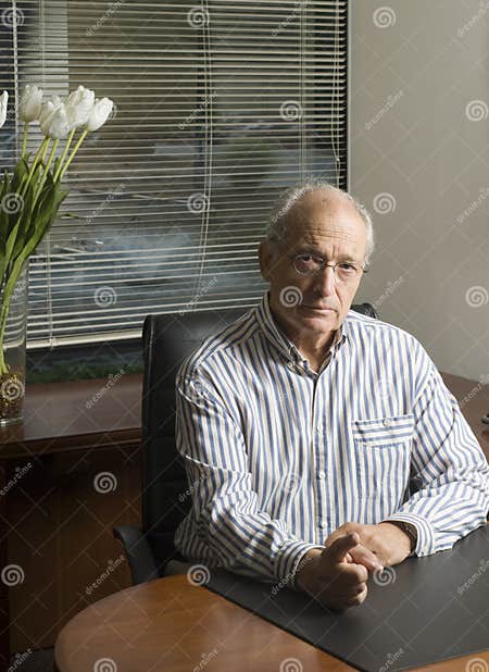 Senior executive in office stock photo. Image of older - 3001994