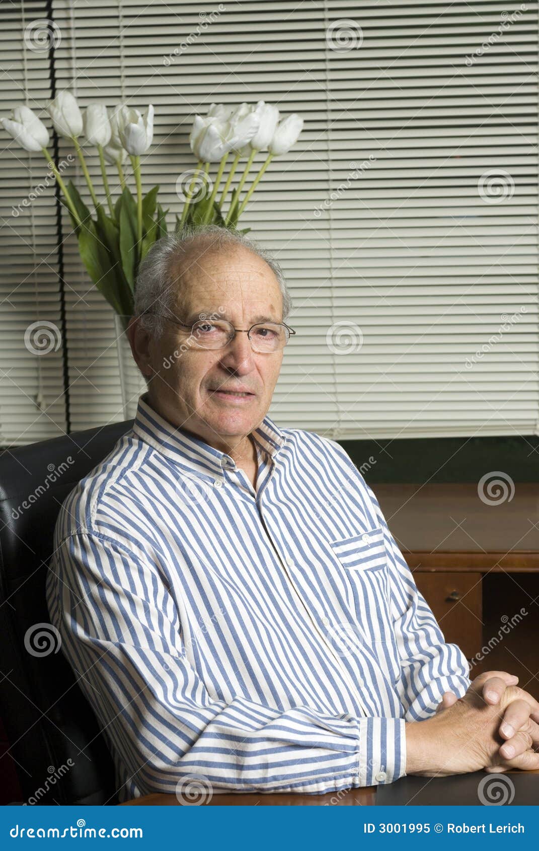 Senior executive in office stock image. Image of looking - 3001995