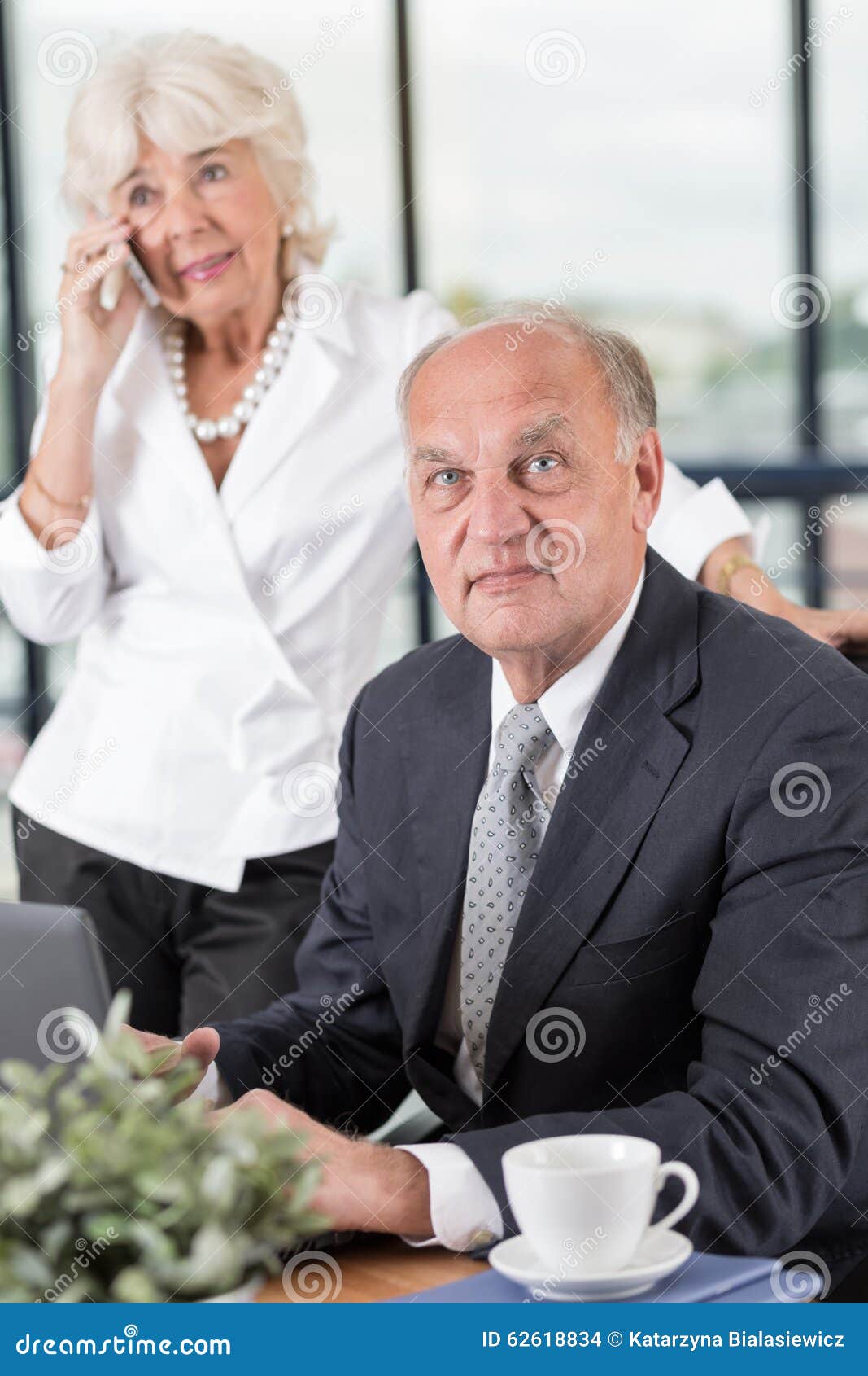 Senior executive in office stock photo. Image of partner - 62618834