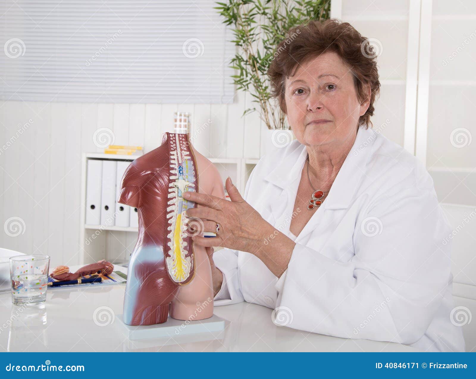 Senior Female Doctor Explaining the Human Body with Torso. Stock Image ...