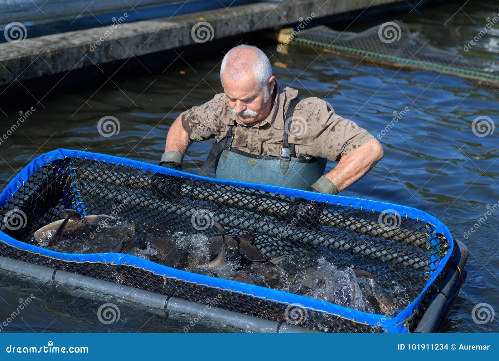 Fish Farmer In Water Stock Image | CartoonDealer.com #130818331