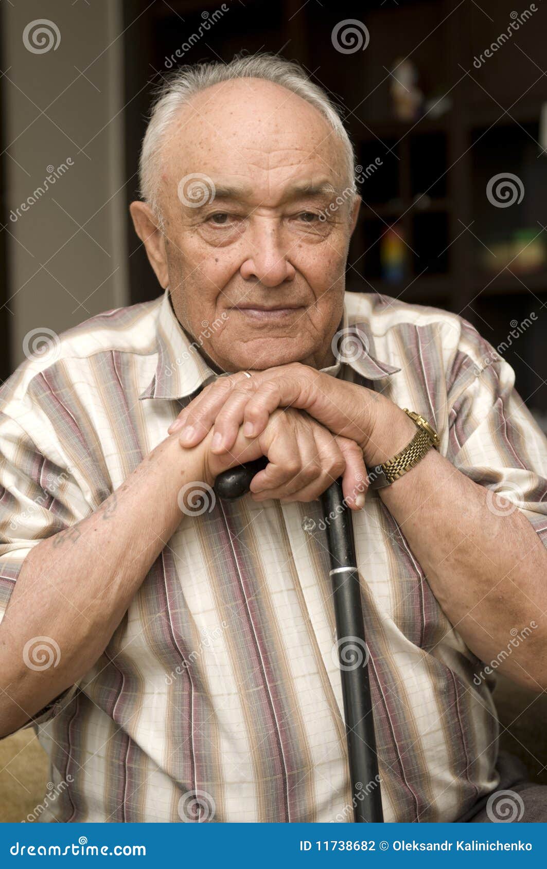Senior gentleman stock photo. Image of retirement, grandfather - 11738682