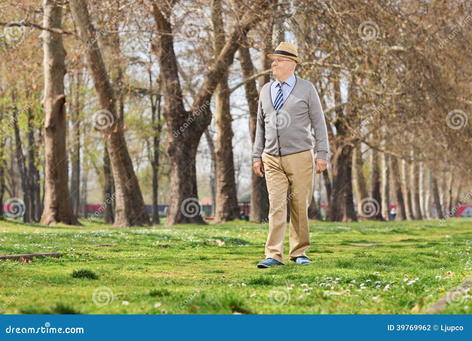 Senior Gentleman Walking in Park Stock Photo - Image of clothes ...