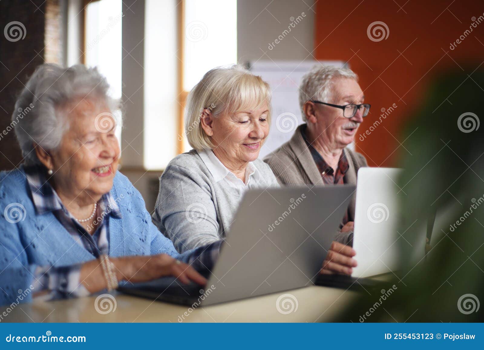 Senior Group in Retirement Home Learning Together in Computer Class ...