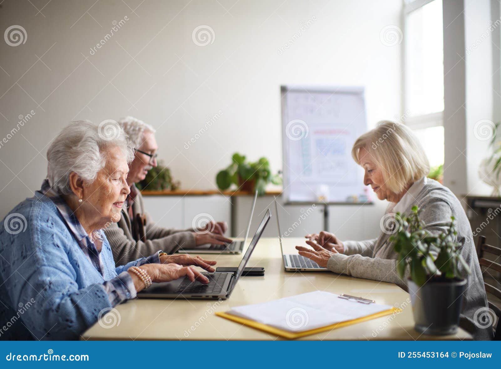 Senior Group in Retirement Home Learning Together in Computer Class ...