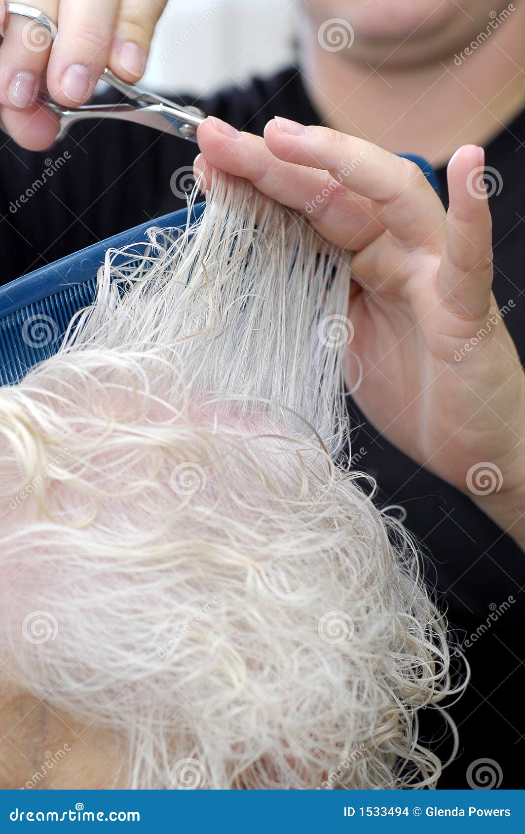 Senior Hair Cut stock photo. Image of curling, cutting - 1533494