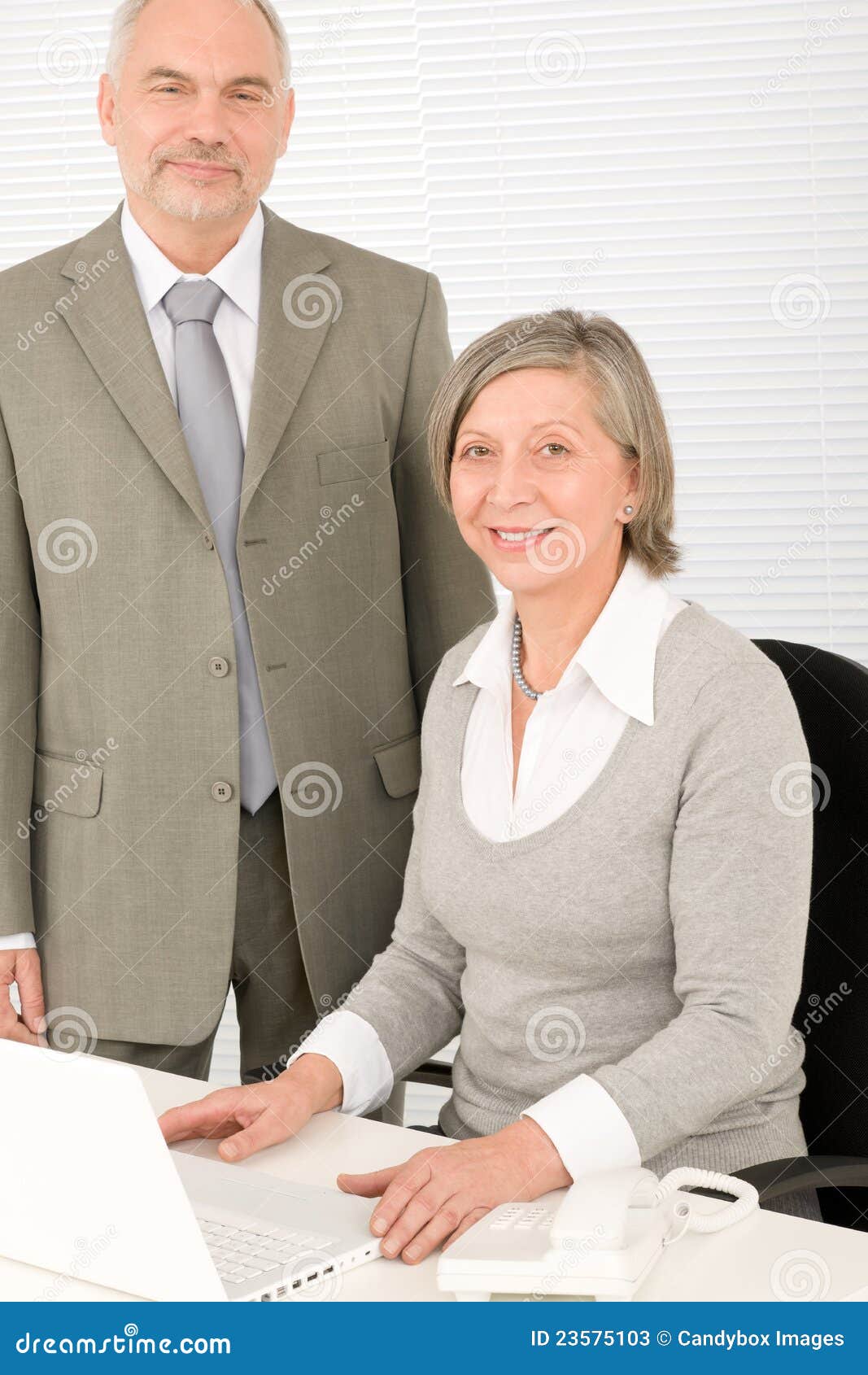 Senior Happy Businesspeople Working on Computer Stock Image - Image of ...