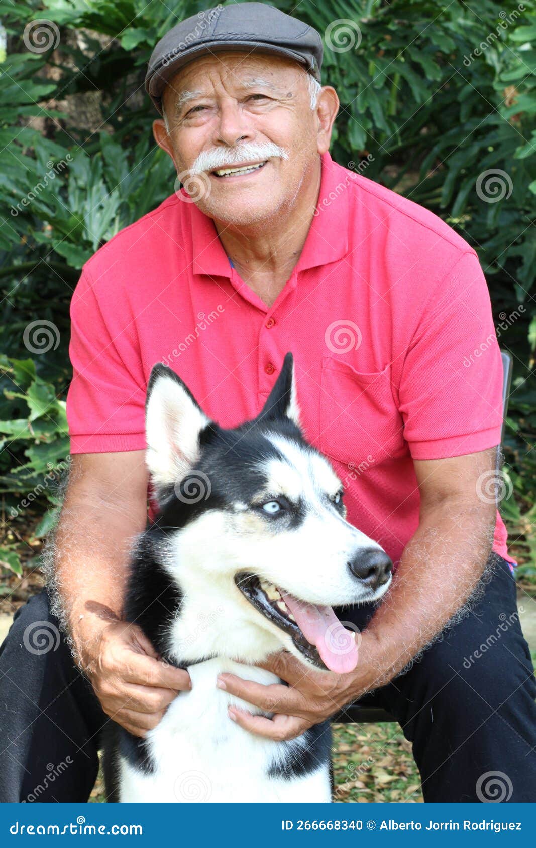 Senior Hispanic Man Hugging His Siberian Husky Stock Photo - Image of ...