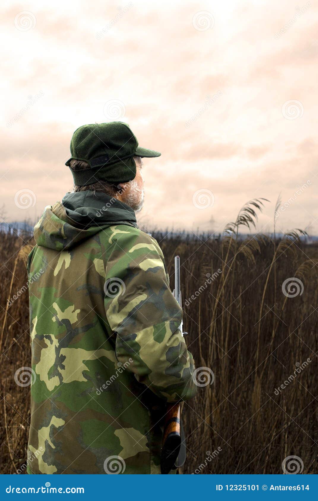 Senior Hunter stock image. Image of patience, senior - 12325101