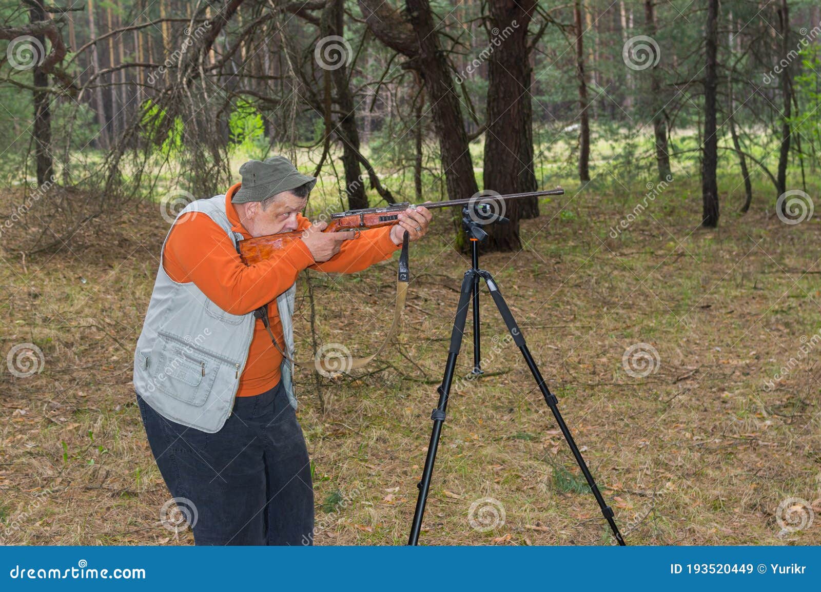 Senior Hunter Aim Rifle in Forest Stock Image - Image of coniferous ...