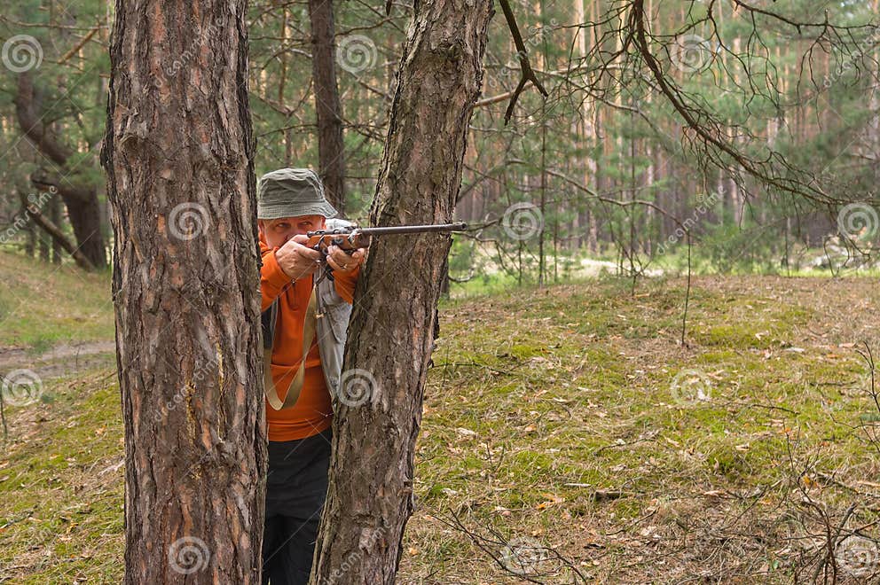 Senior Hunter Aim Rifle Standing between Pine-trees Stock Photo - Image ...