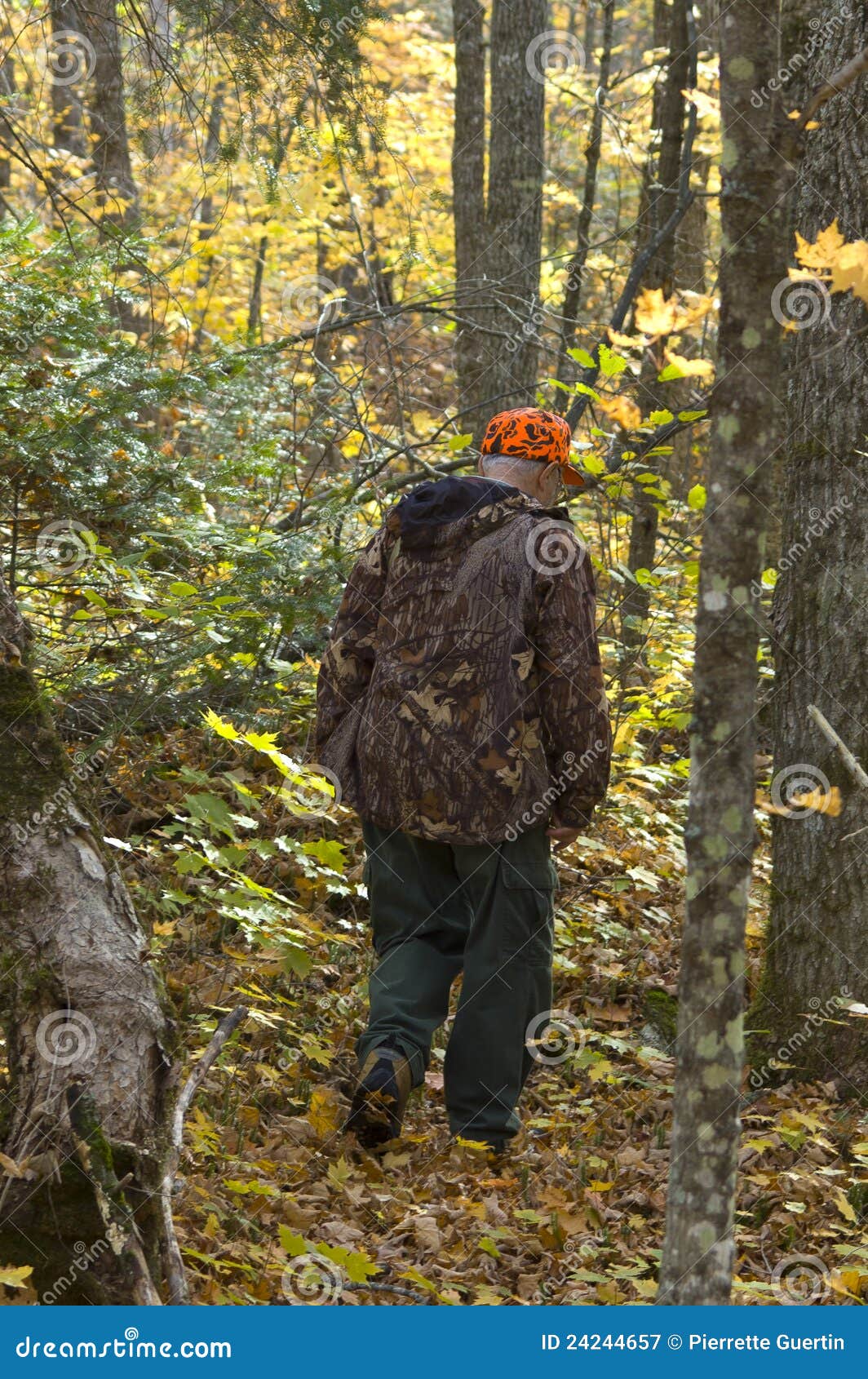Senior Hunter on the Deer Track Stock Image - Image of field, redneck ...