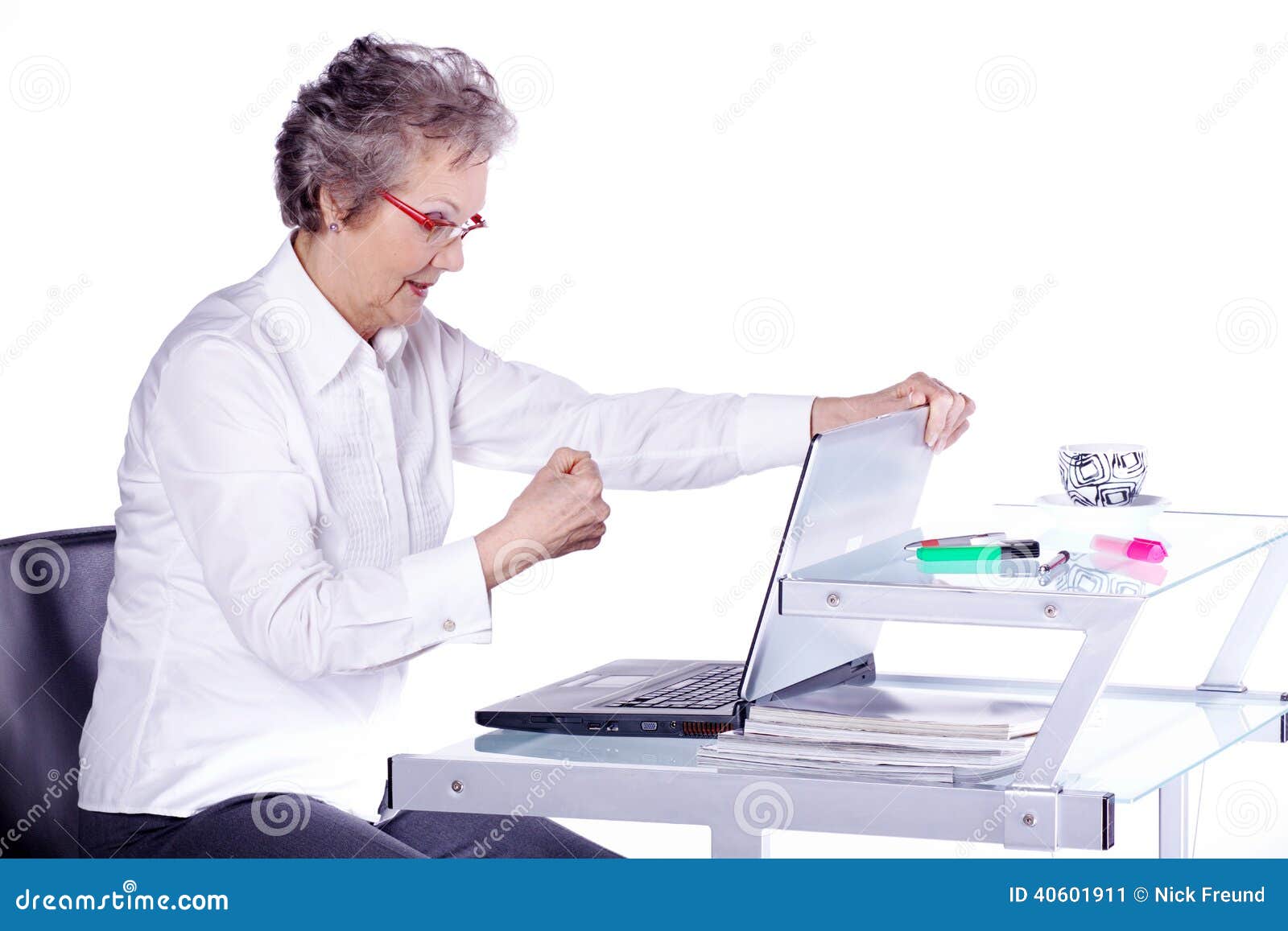 Senior lady on computer stock image. Image of nature - 40601911