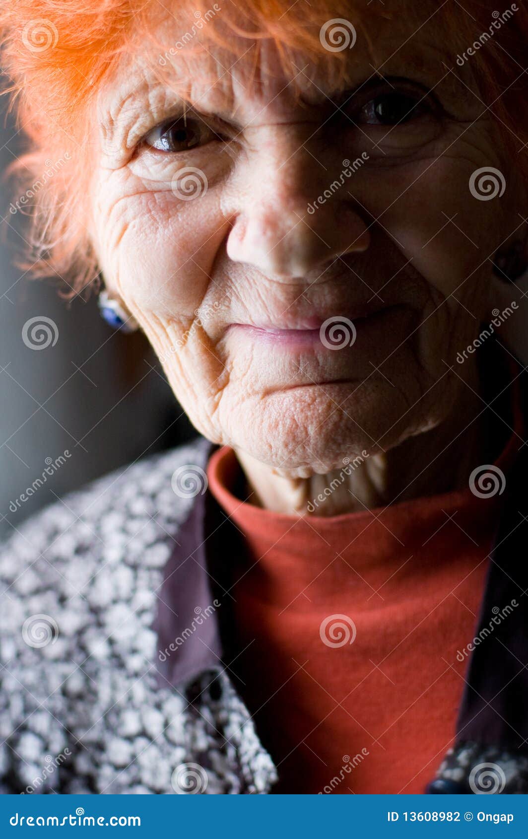Senior lady portrait stock photo. Image of european, elder - 13608982