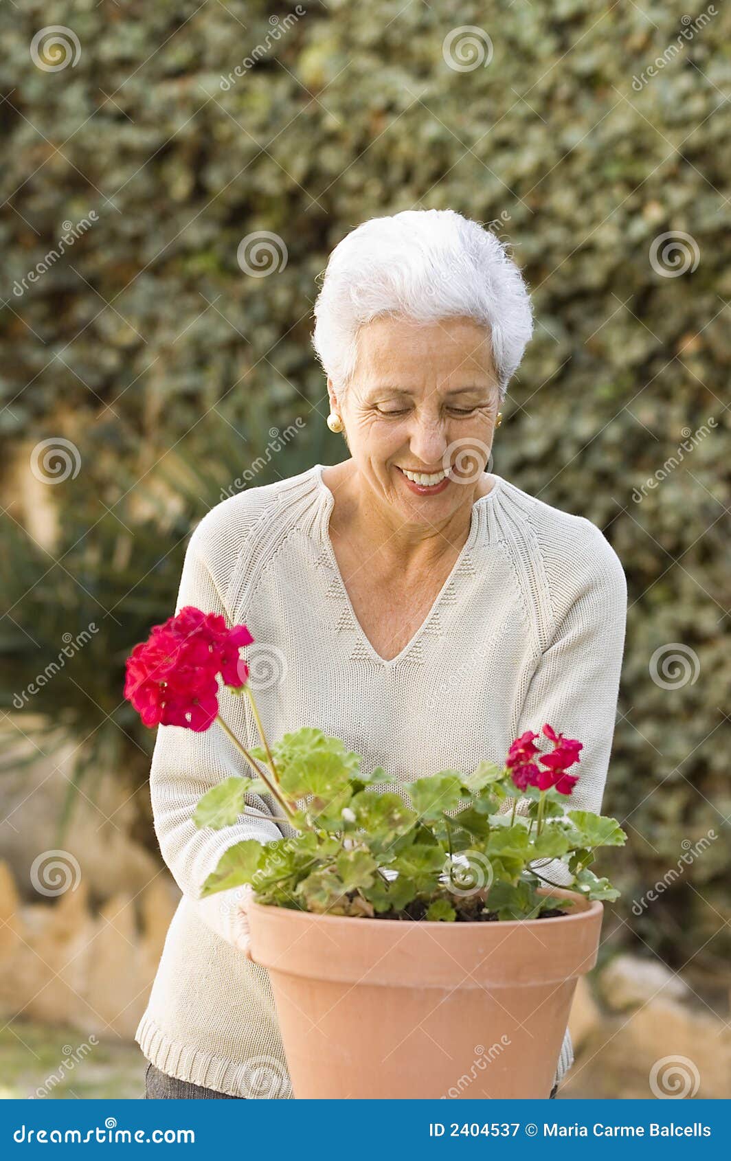 Senior Lady Pruning Her Plants Stock Image - Image of lady, female: 2404537