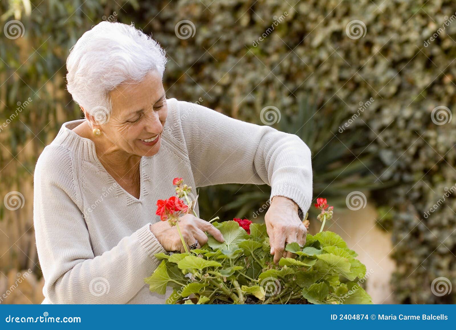 Senior Lady Pruning Her Plants Stock Photo - Image of cultivation ...