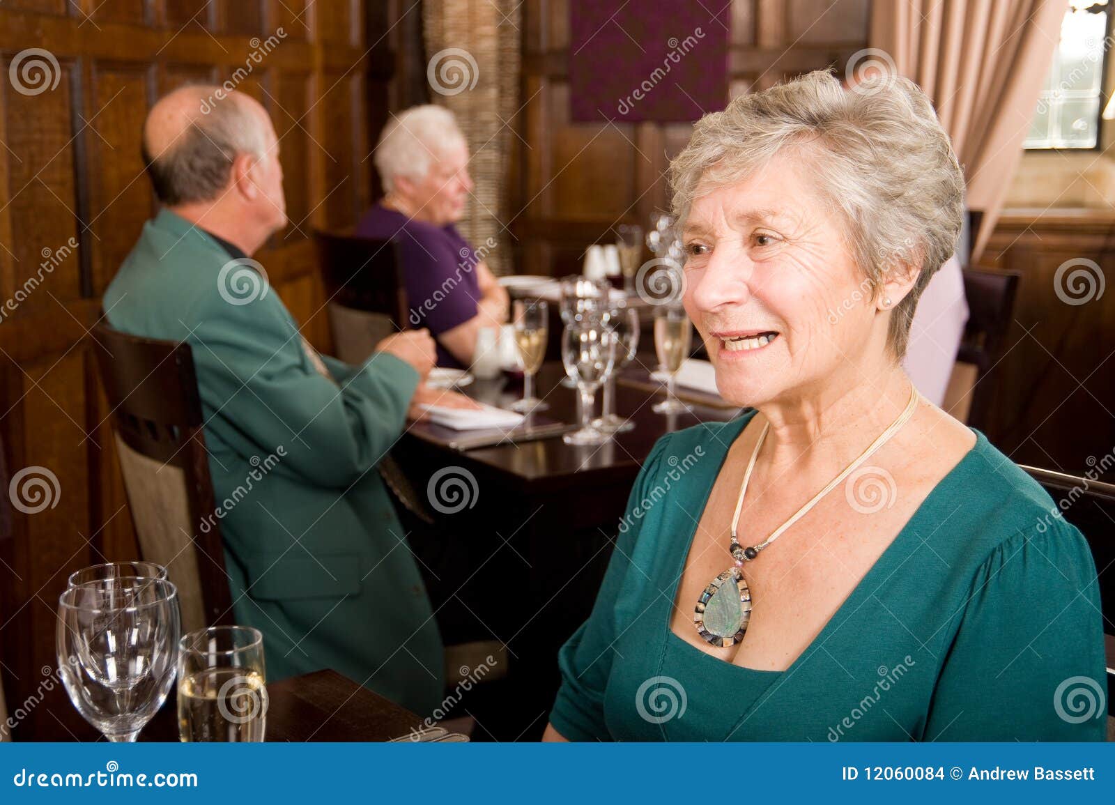 Senior lady in restaurant stock photo. Image of grandparents - 12060084