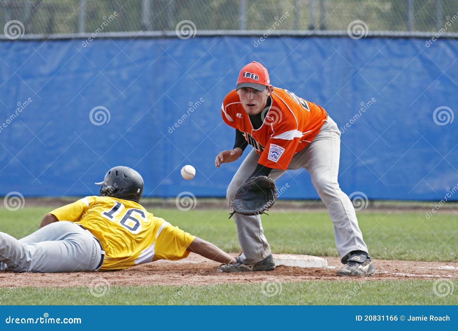 Senior League Baseball World Series Pickoff Editorial Photo - Image of ...