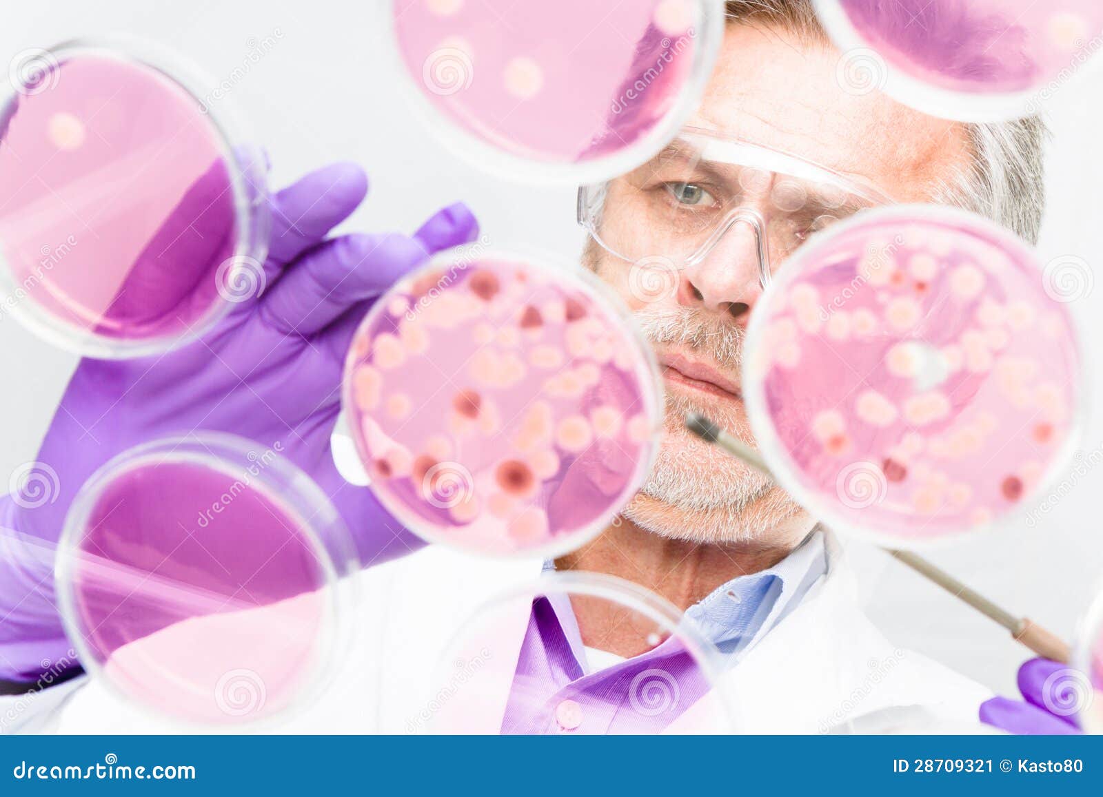 Senior Life Science Researcher. Stock Image - Image of experiment ...