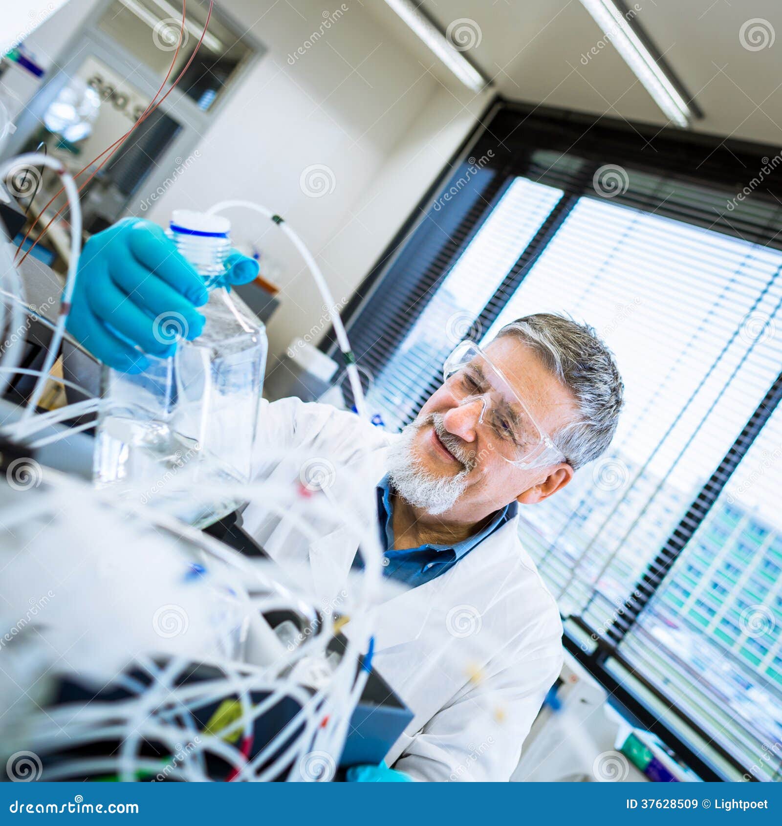 Senior Male Researcher in a Lab Stock Image - Image of doze, people ...