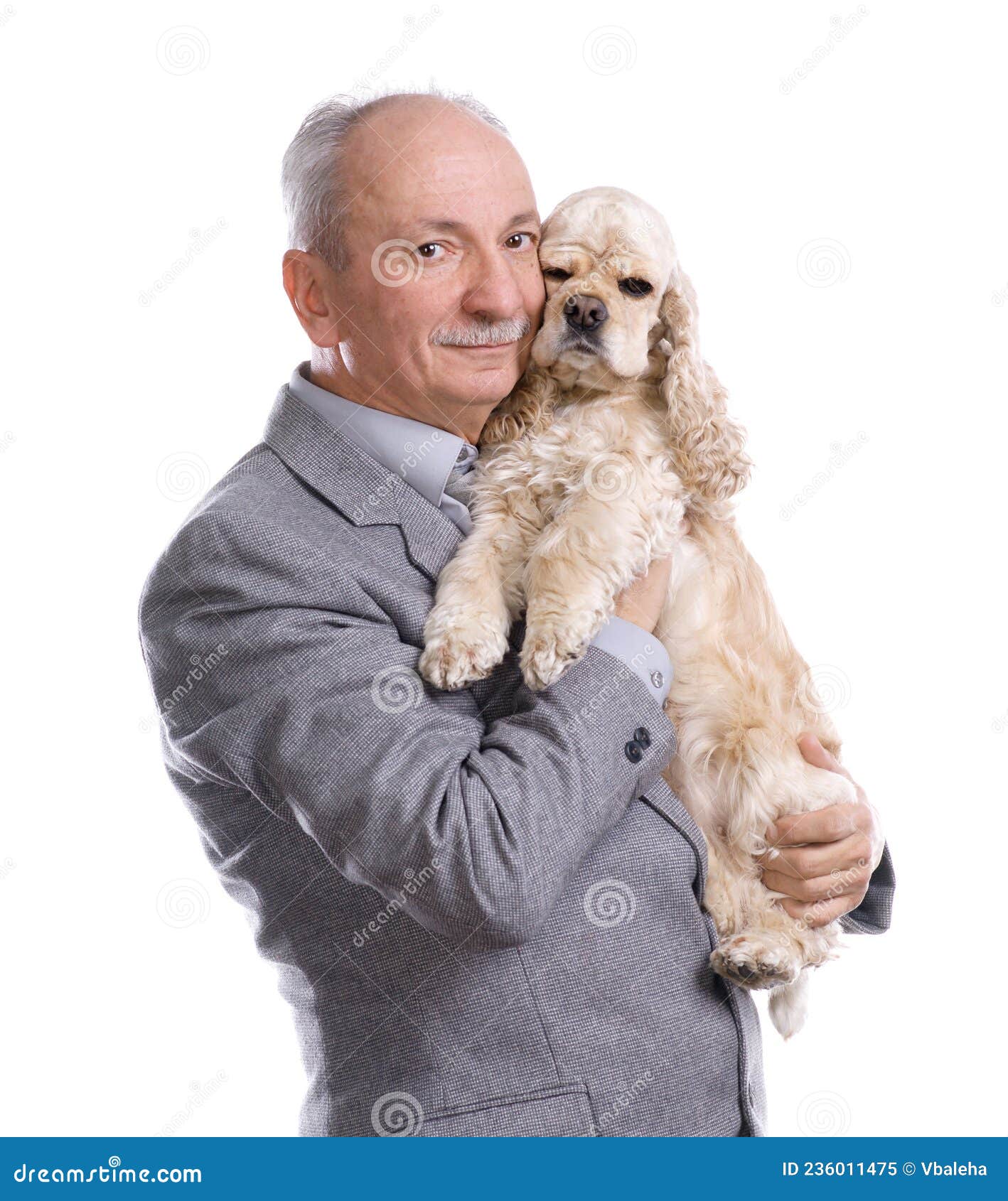 Senior Man with American Cocker Spaniel in Studio Stock Image - Image ...