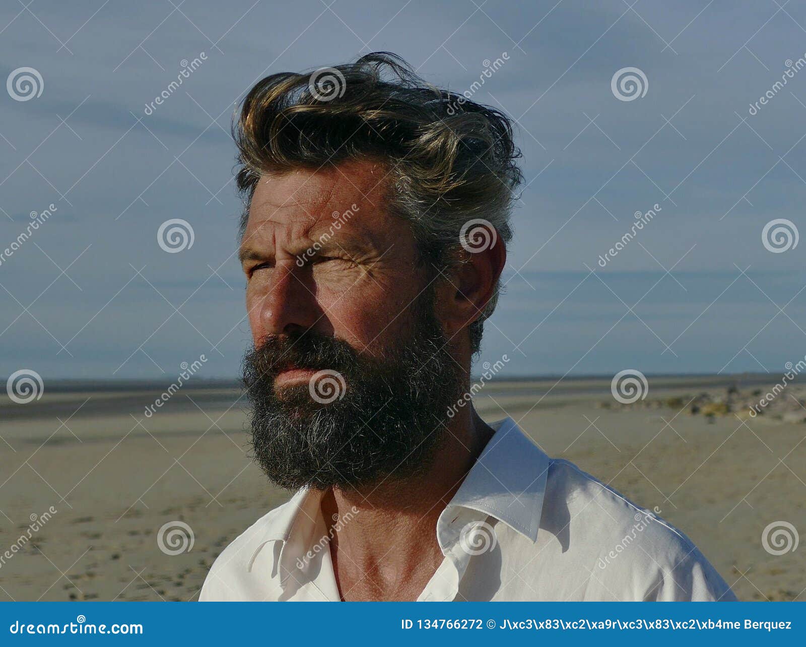 Senior man with beard stock photo. Image of face, profil - 134766272