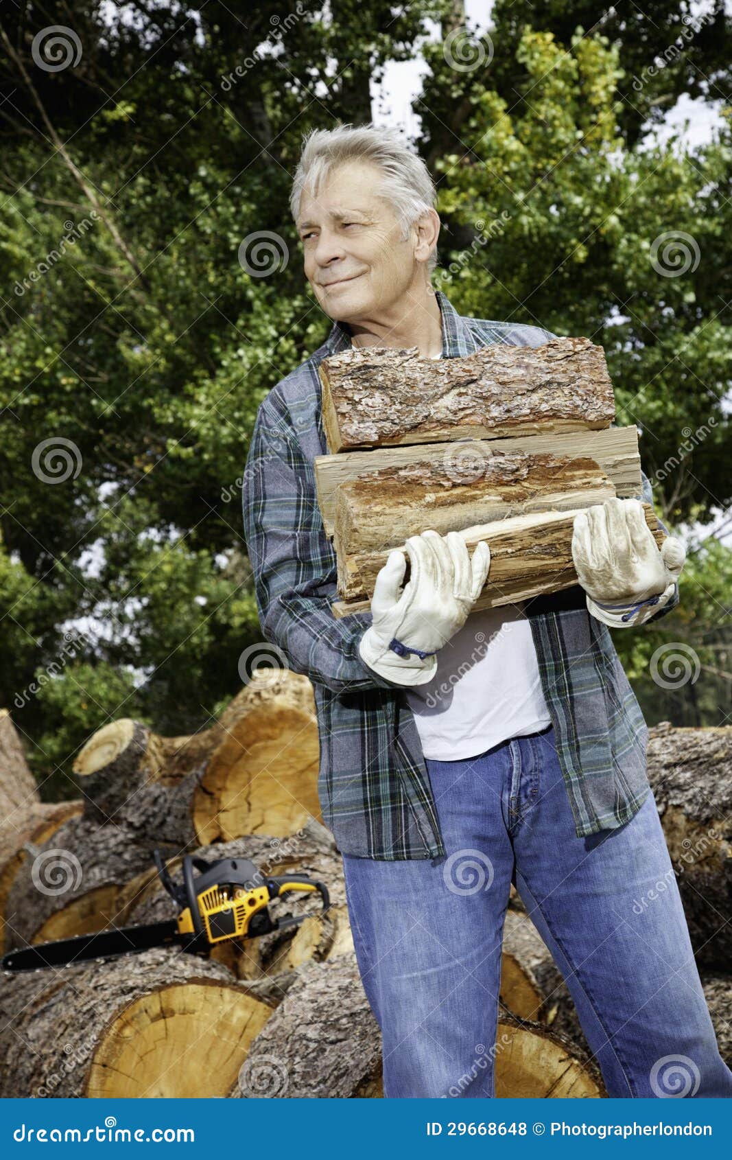 Senior Man Carrying Firewood Logs Stock Photo - Image of power, daytime ...