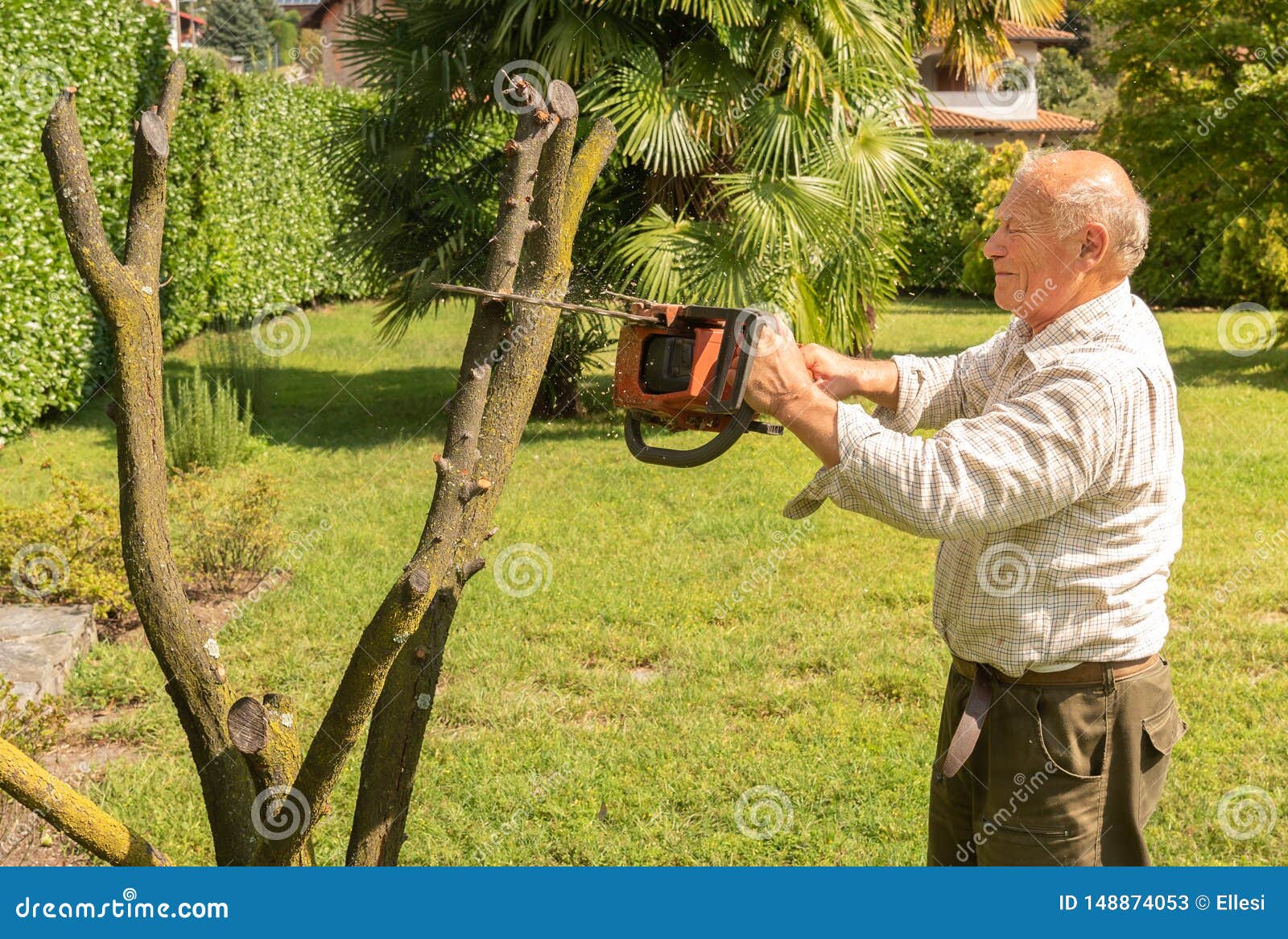 Senior Man Cutting Tree with Chainsaw Stock Image - Image of rural ...