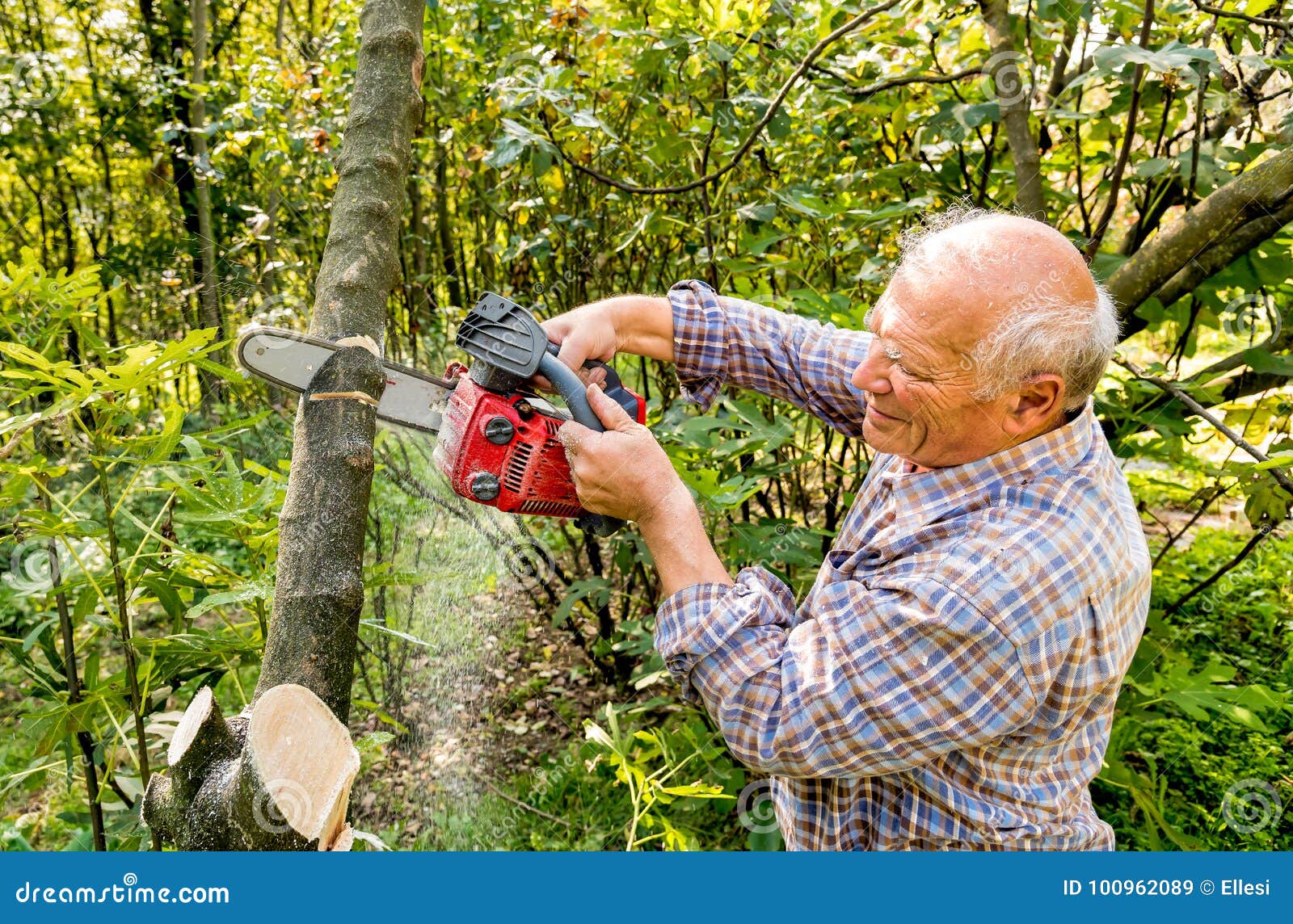 Senior Man Cutting Tree with Chainsaw Stock Image - Image of rural ...