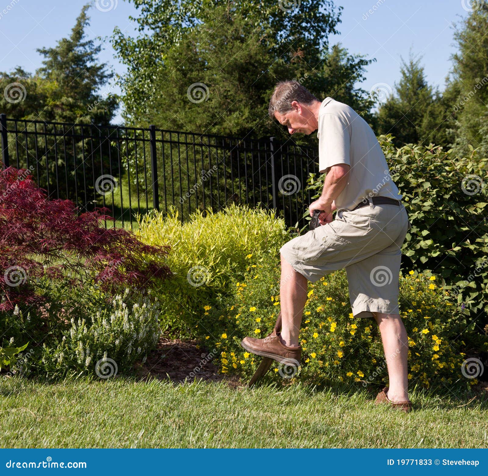 Senior Man Digging in Garden Stock Image - Image of lawn, outdoor: 19771833