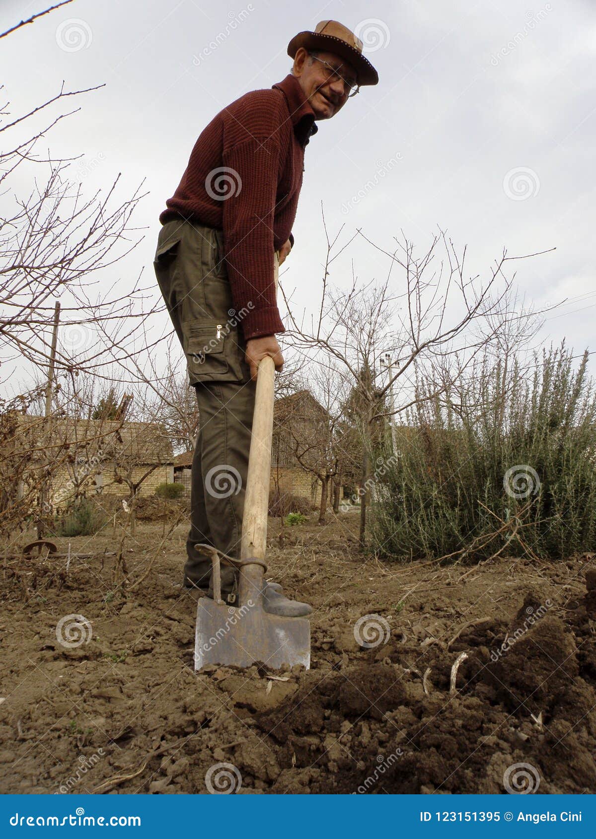 Senior Man Digging in the Vegetable Garden Stock Image - Image of ...