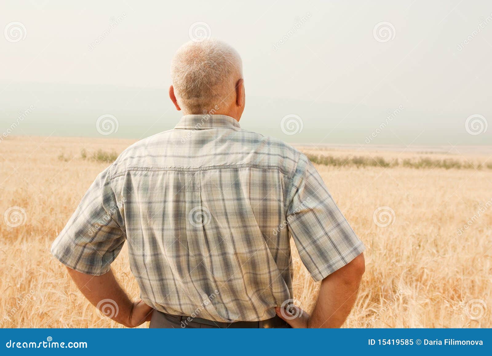 Senior man in field stock image. Image of harvest, grey - 15419585