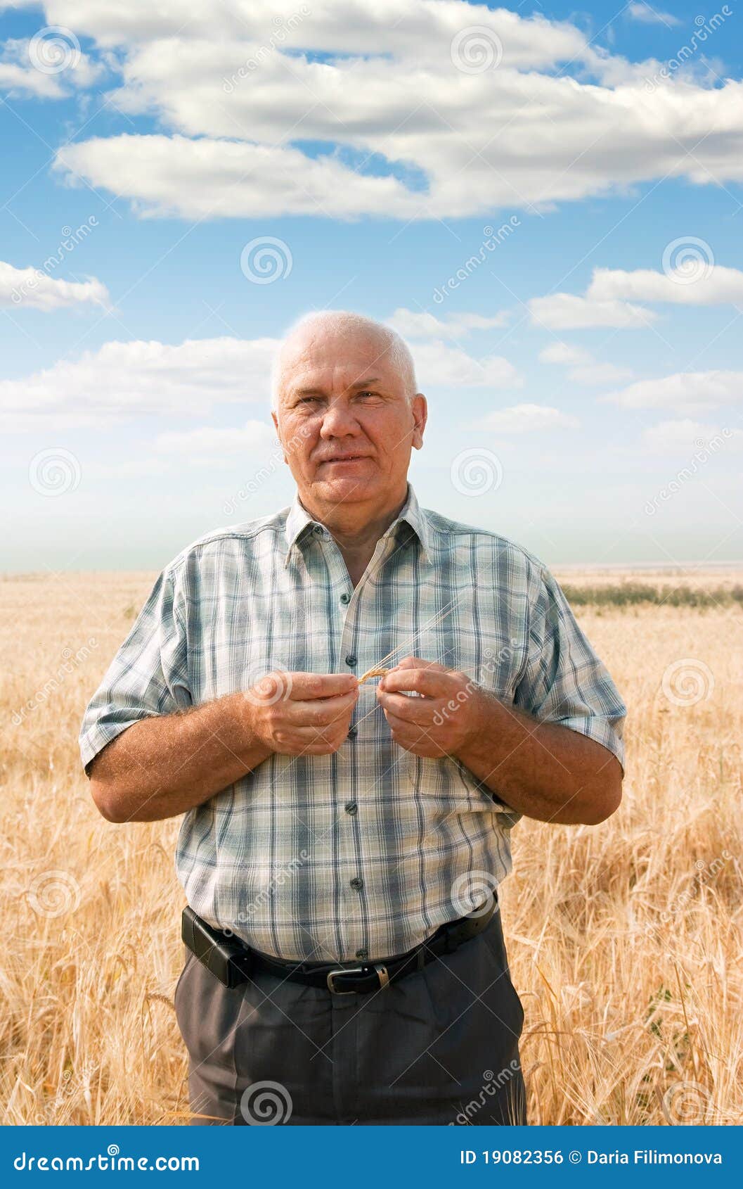 Senior man in field stock photo. Image of grey, countryside - 19082356