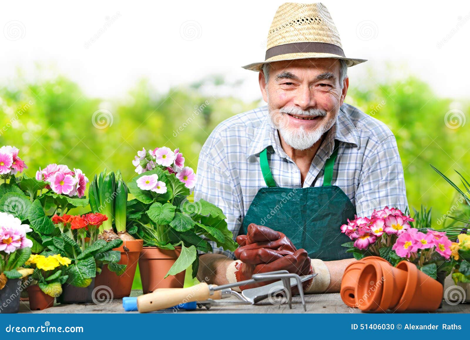 Senior Man in the Flower Garden Stock Photo - Image of garden, gardener ...
