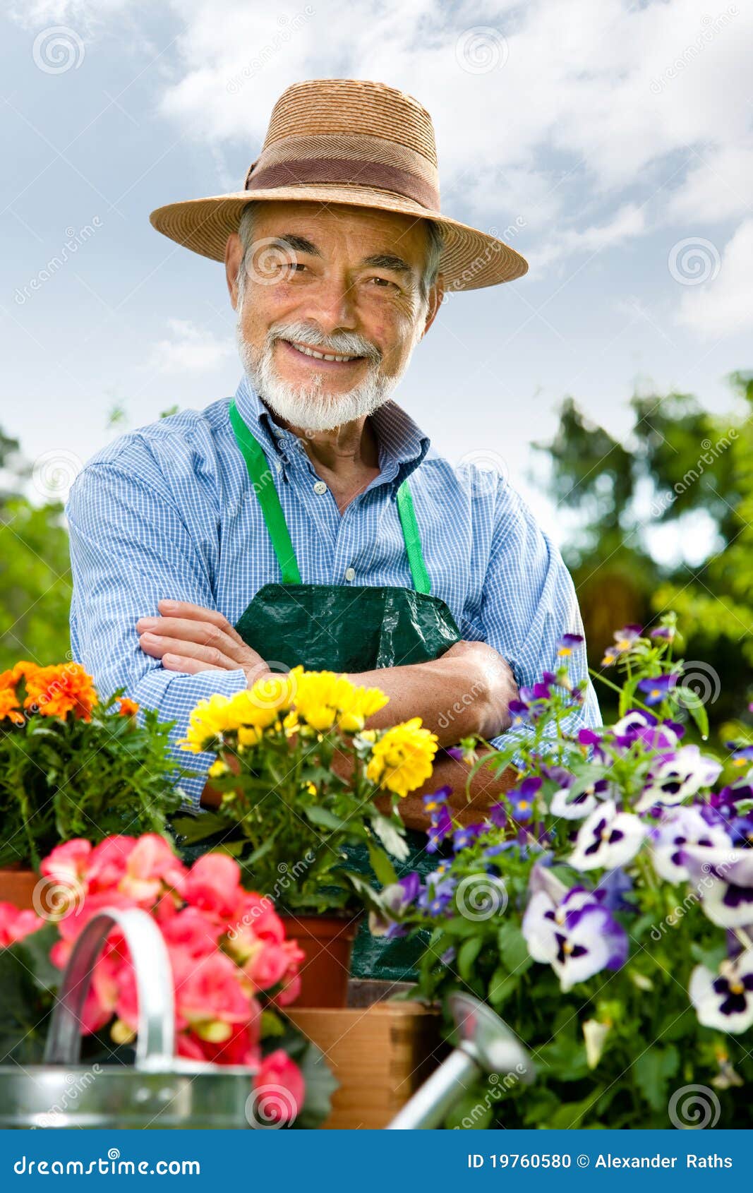 Senior man gardening stock photo. Image of gardener, active - 19760580